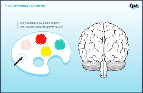 Using Javascript In Storyline 2 Interactive Image Colouring 4pt Limited