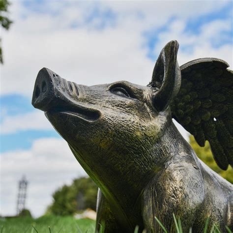 Brushed Gold Flying Pig Sculpture Black Country Metalworks