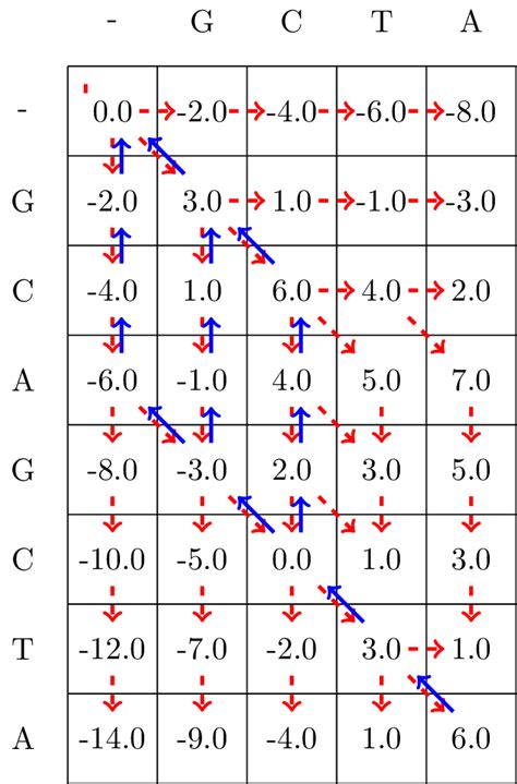 3 Needleman Wunsch Algorithm Global Alignment — Bioinformatics For