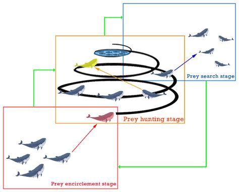 Symmetry Free Full Text Quasi Reflective Chaotic Mutant Whale Swarm