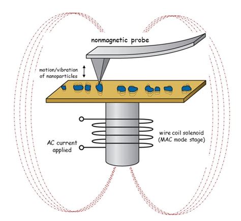Magnetic Sample Modulation Afm Garno Research Group