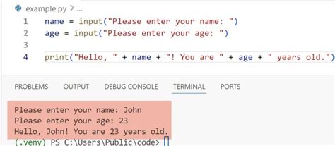 How To Use The Input Function In Python