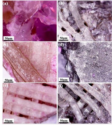 Figure 1 From Improving Bioactivity Of Peek Composite Polymer For Bone Application Semantic