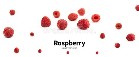 Raspberry On White Background Long Header Banner Format Panorama