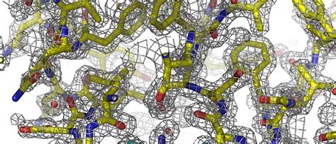 Structural Biology Department Of Cell And Molecular Biology Uppsala