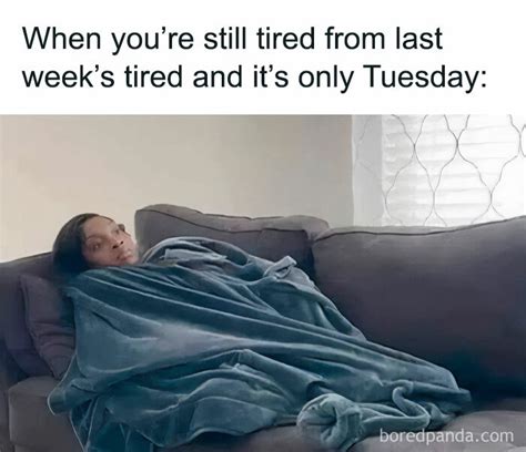 40 Happy Tuesday Memes To Get You Through The Week Bored Panda