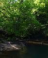 Categorynature Of West Virginia Wikimedia Commons