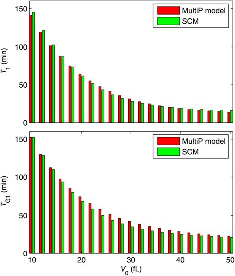 Deterministic Simulations Of The Relation Between Initial Cell Size Download Scientific Diagram