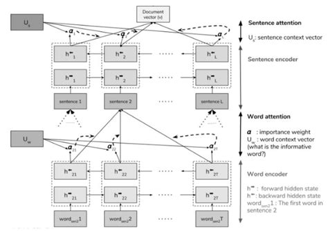 Architecture Of The Hierarchical Attention Network Download Scientific Diagram