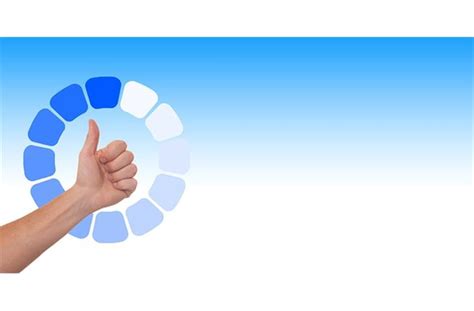 Enhancing Accuracy In Bone Density Quality Control Detection Kingpo