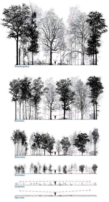 Pin by Era Tattoo on 纹身 Landscape drawings Architecture drawing Tree drawing