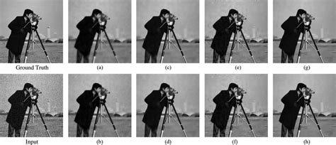 Example Image Denoising Results Note That The Input Image Is The Noisy