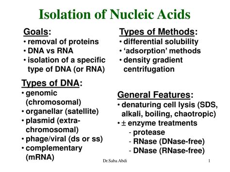 Ppt Isolation Of Nucleic Acids Powerpoint Presentation Free Download
