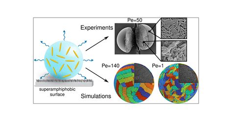 Structure Formation In Supraparticles Composed Of Spherical And Elongated Particles Langmuir