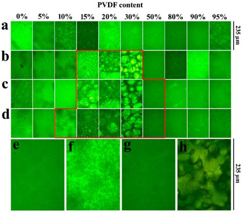 Advances In The Application Of Sulfonated Polyether Ether Ketone