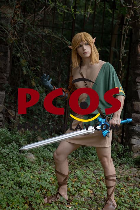 The Legend Of Zelda Tears Of The Kingdom Link Cosplay Costume C07826