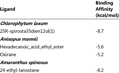 The Binding Affinities Of The Investigated Compounds Download