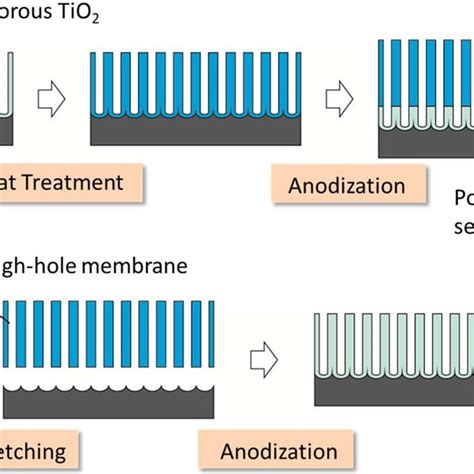 Schematic Drawing Of The Fabrication Process For Ordered Tio 2
