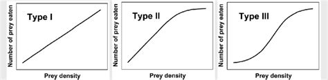 Basic Types Of Functional Response That A Predator May Display When Download Scientific Diagram
