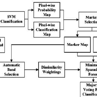 Flow Chart Of The Classification Algorithm Using An SVM And MSF Download Scientific Diagram