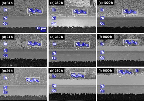 Cross Sectional Sem Micrographs Of The In Au Ni Joints Reacted At A C