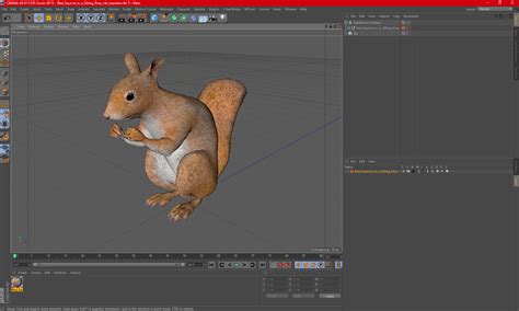 3d Model Red Squirrel In A Sitting Pose 3d Molier International