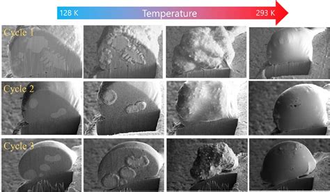 Figure 3 From Phase Separation In Frozen Microscale Eutectic Indium