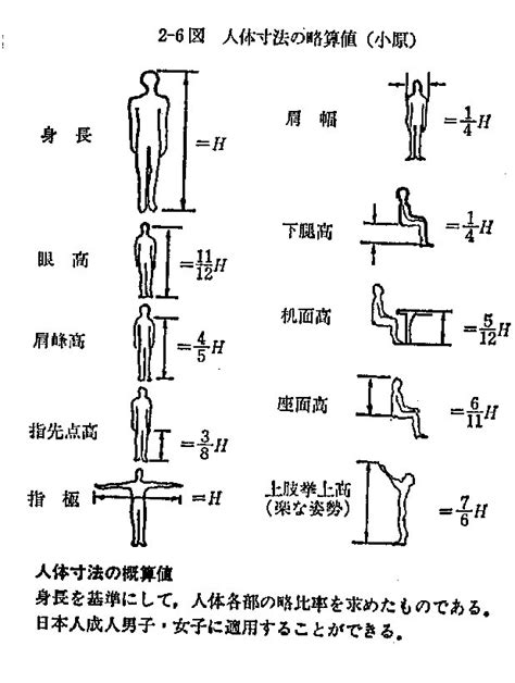 人寸法データ 日本人の人体寸法データブック Dsjm