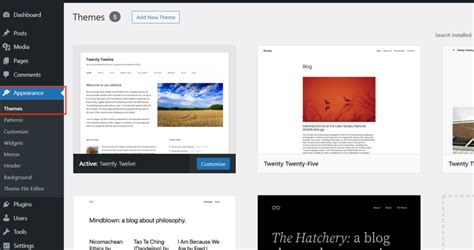 wordpress theme vs plugin what you need to know