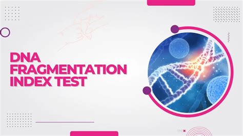 Sperm DNA Fragmentation Test In Bangalore Sperm Testing
