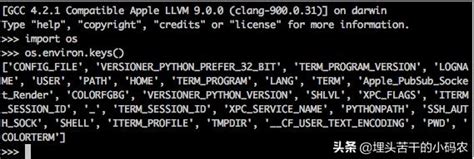 getenv获取不到环境变量 一篇文章搞定使用os environ获取与设置系统变量 csdn博客