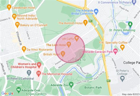 Fluid Paint A Bear Class Adelaide Ts Classbento