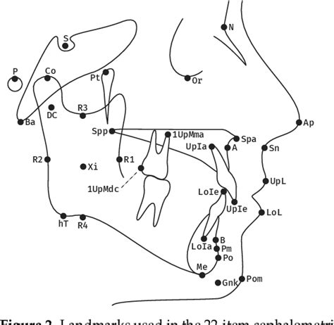 Figure 1 From The Position Of The Virtual Hinge Axis In Relation To The