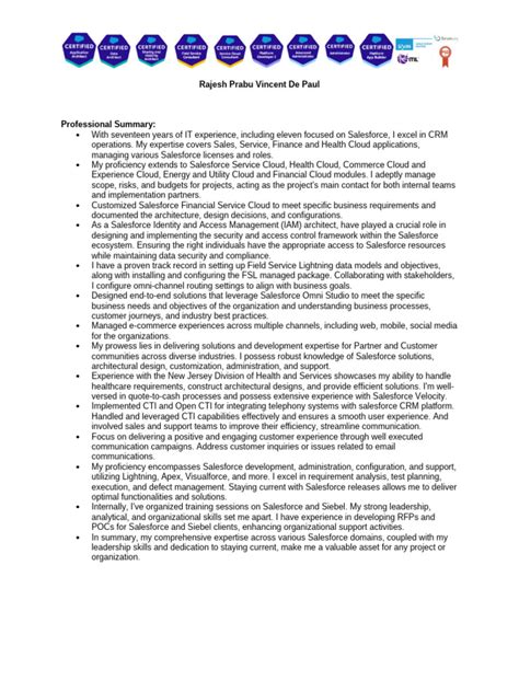 Rajesh Prabu Vincent De Paul Salesforce Architect Pdf Computer Security Security