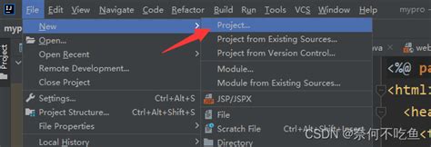 IntelliJ IDEA创建javaweb项目入门级教程 奈何不吃鱼 博客园