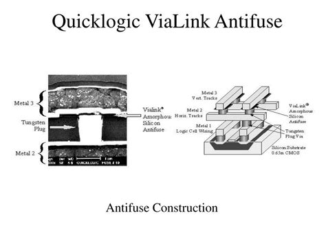 PPT Antifuse And Rupture PowerPoint Presentation Free Download ID