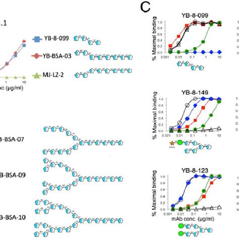 Determination Of The Structural Requirements At The Nonreducing Ends Of Download Scientific