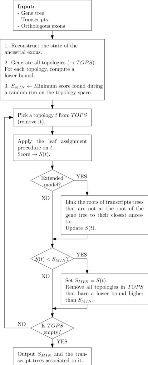 Main Algorithm Sketch Of The Main Algorithm With And Without The