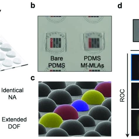 A Concept Schematic Of Multifocal Microlens Arrays Mf Mlas With Download Scientific Diagram