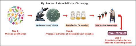 Biotechnology Microbial Extract Technology