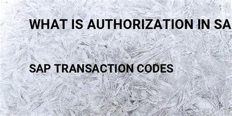 What Is Authorization In Sap Security Tcode In Sap Transaction Codes List
