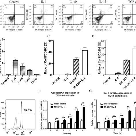 The Dose Effects Of M Csf A B And Gm Csf C D On Col Ii Expression Download Scientific