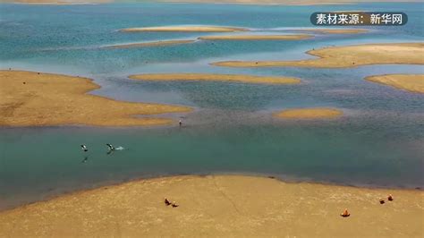 新疆塔里木水库迎来大批迁徙候鸟 凤凰网视频 凤凰网