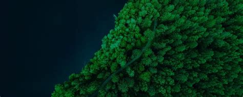 Carbon Reduction Plan Namos Solutions