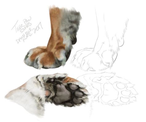 Tiger Paw Drawing Guide Captivate With Majestic Feline Art
