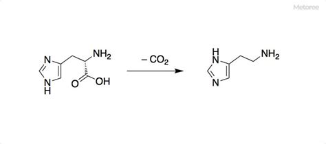 10 Histamine Manufacturers In 2024 Metoree