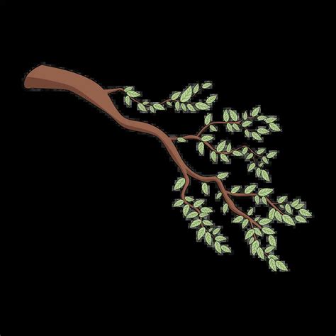 How To Draw A Tree Branch Step By Step At Betty Finkelstein Blog