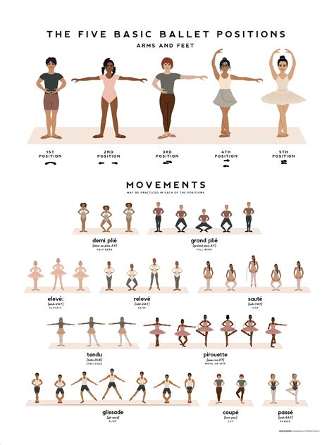 Ballet Steps And Positions