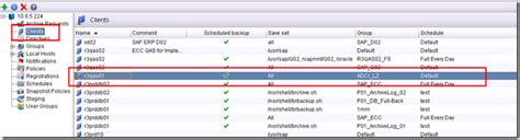 Sap备份数据库到磁带 Brtoolsnetwokeradic带库 Csdn博客