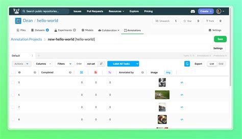 Annotate Data With Dagshub Annotations Dagshub Docs